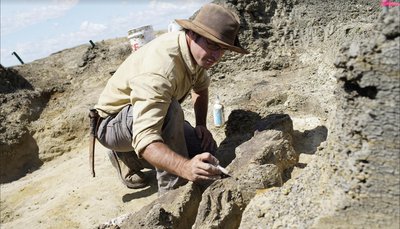 Dinosaur Apocalypse | NOVA | PBS