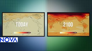 NOVA Education | NOVA | PBS