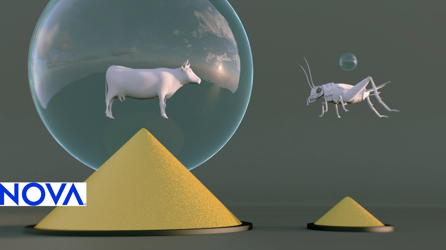 NOVA Education | NOVA | PBS