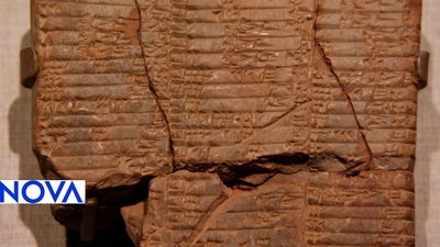 Zero to Infinity | NOVA | PBS