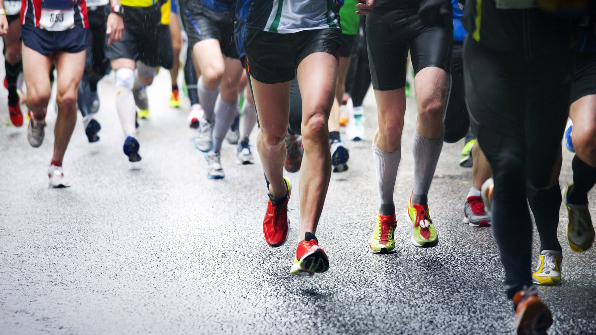 Cooking changed human history. Did it change our microbes too? | NOVA | PBS