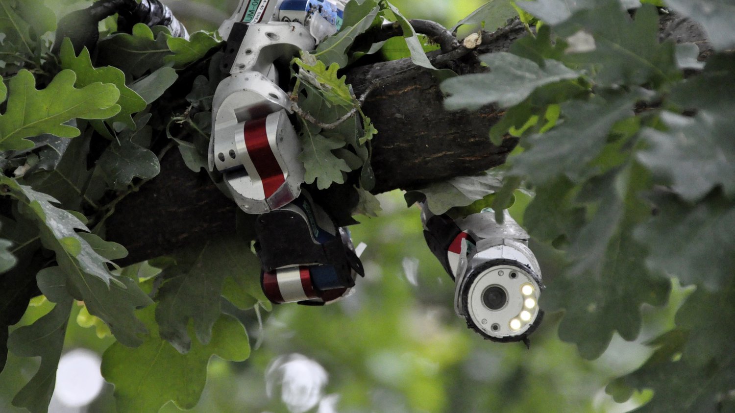 Making More Stuff | NOVA | PBS