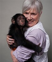 Bonobos! | NOVA | PBS