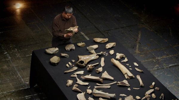 Great Mammoth Mystery | NOVA | PBS