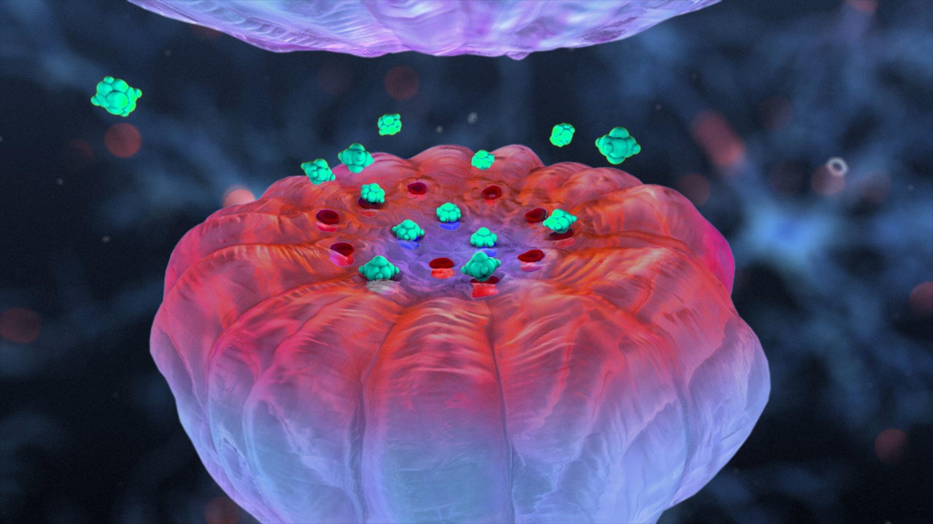 New Opioid a Hopeful Step Toward Non-Addictive Pain Killers | NOVA | PBS