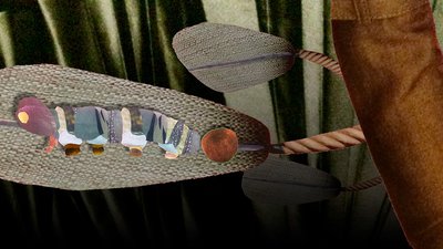 Wombats poop in cubes. Scientists are figuring out how | NOVA | PBS