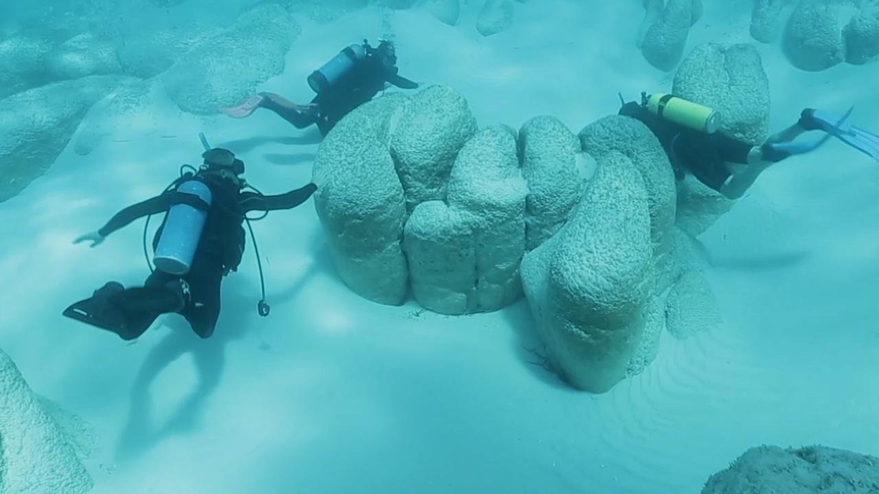 Making North America | NOVA | PBS