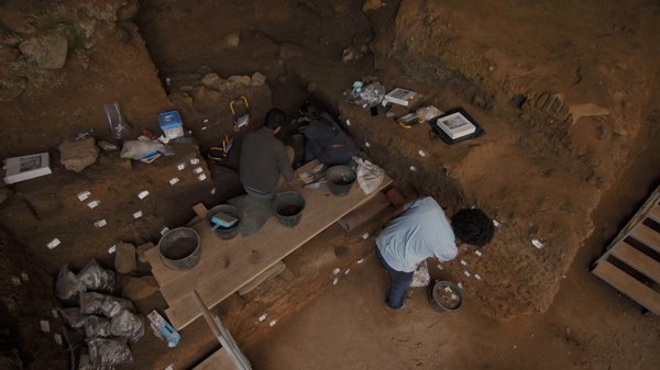 Human: Origins | NOVA | PBS