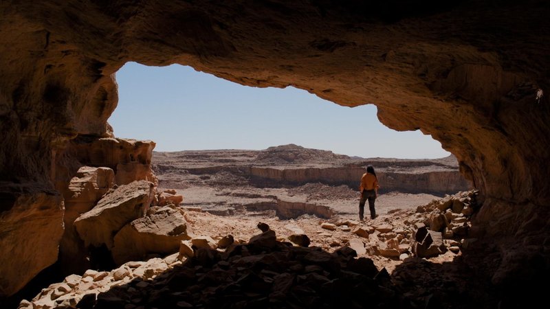 Human: Origins | NOVA | PBS