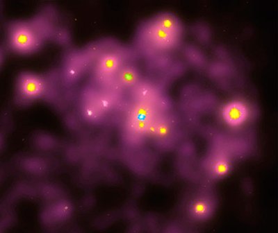 A Guide to Different Kinds of Parallel Universes | NOVA | PBS