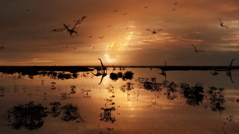 Dino Birds | NOVA | PBS