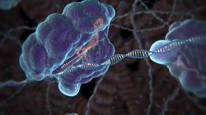 Human Nature | NOVA | PBS