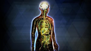 How Cannabis Affects Teens' Brains | NOVA | PBS