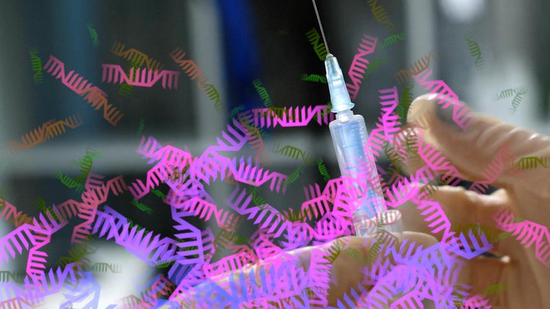 I’ve been exposed to Covid-19. When should I get tested? | NOVA | PBS