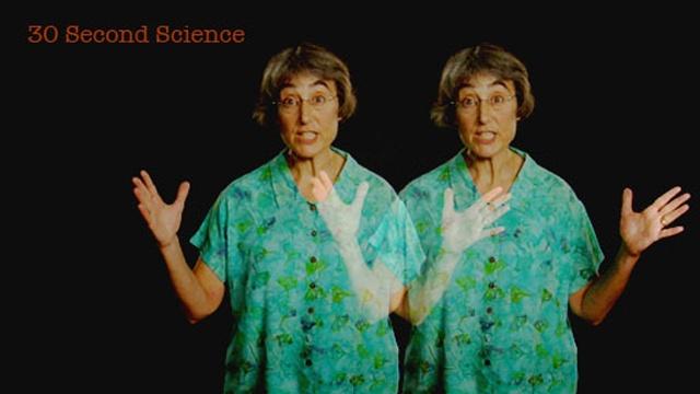 30 Second Science: Sue Barry | NOVA | PBS