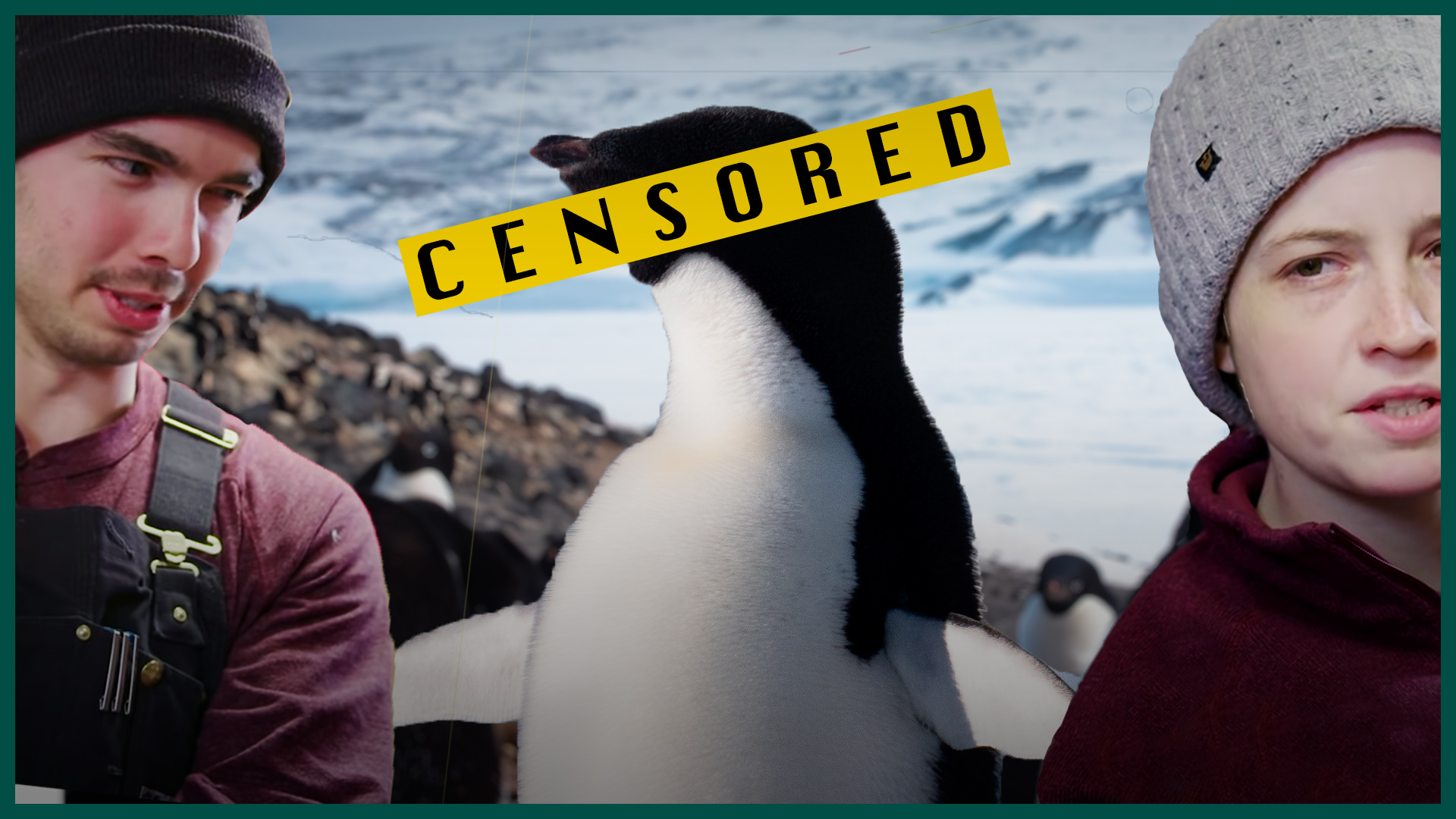 Antarctica’s Penguins Taught Us Surprising Life Lessons | NOVA | PBS