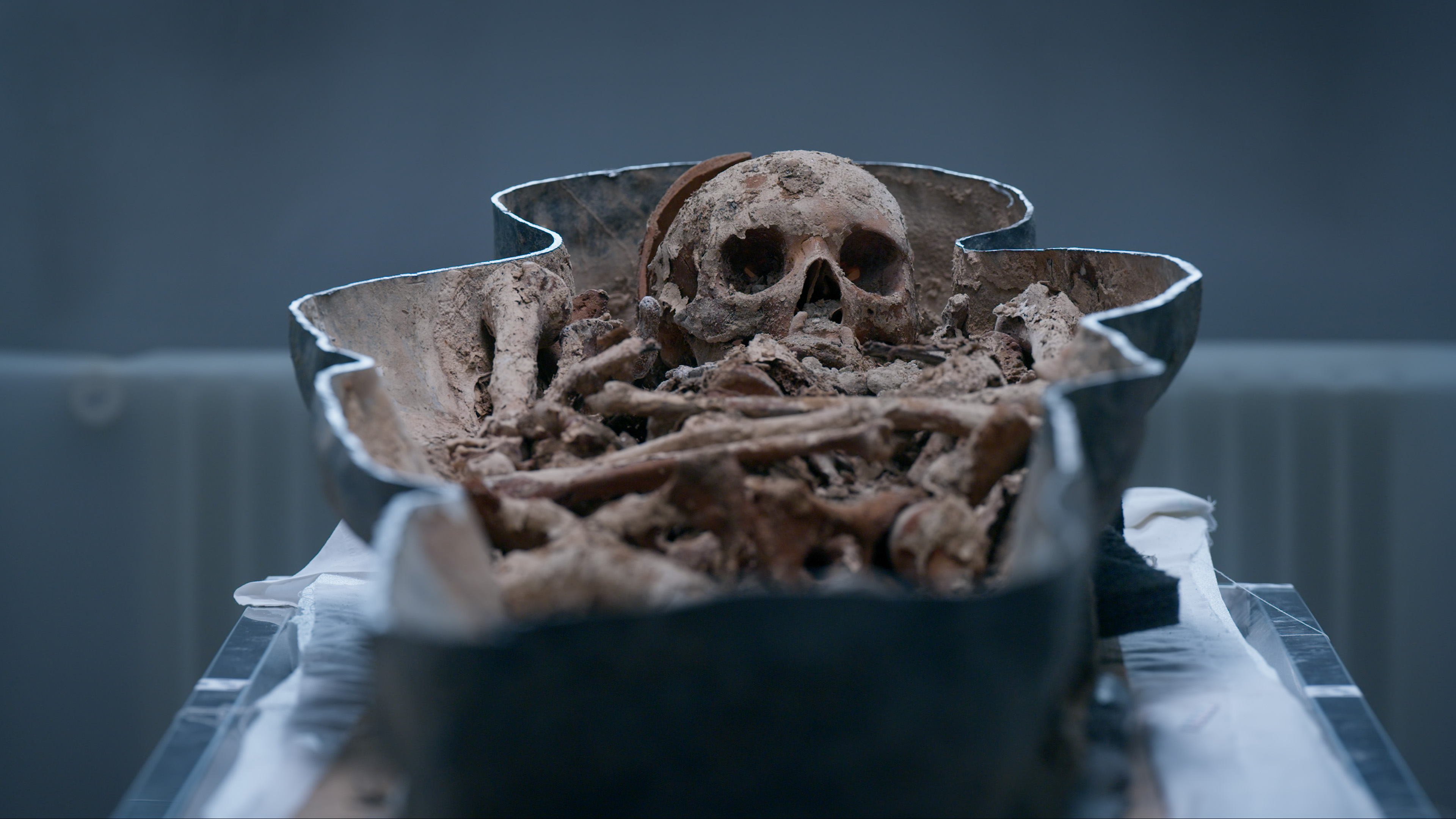 Lost Tombs of Notre Dame | NOVA | PBS