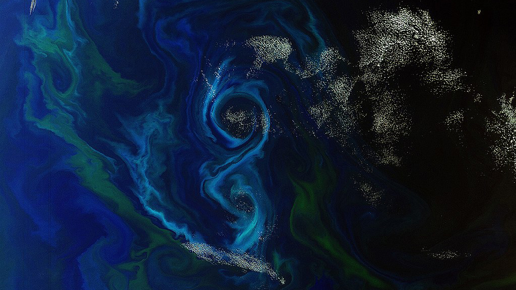 Ocean 'Dead Zones' Have Quadrupled Since 1950 | NOVA | PBS