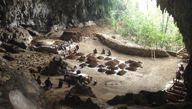 Alien From Earth | NOVA | PBS