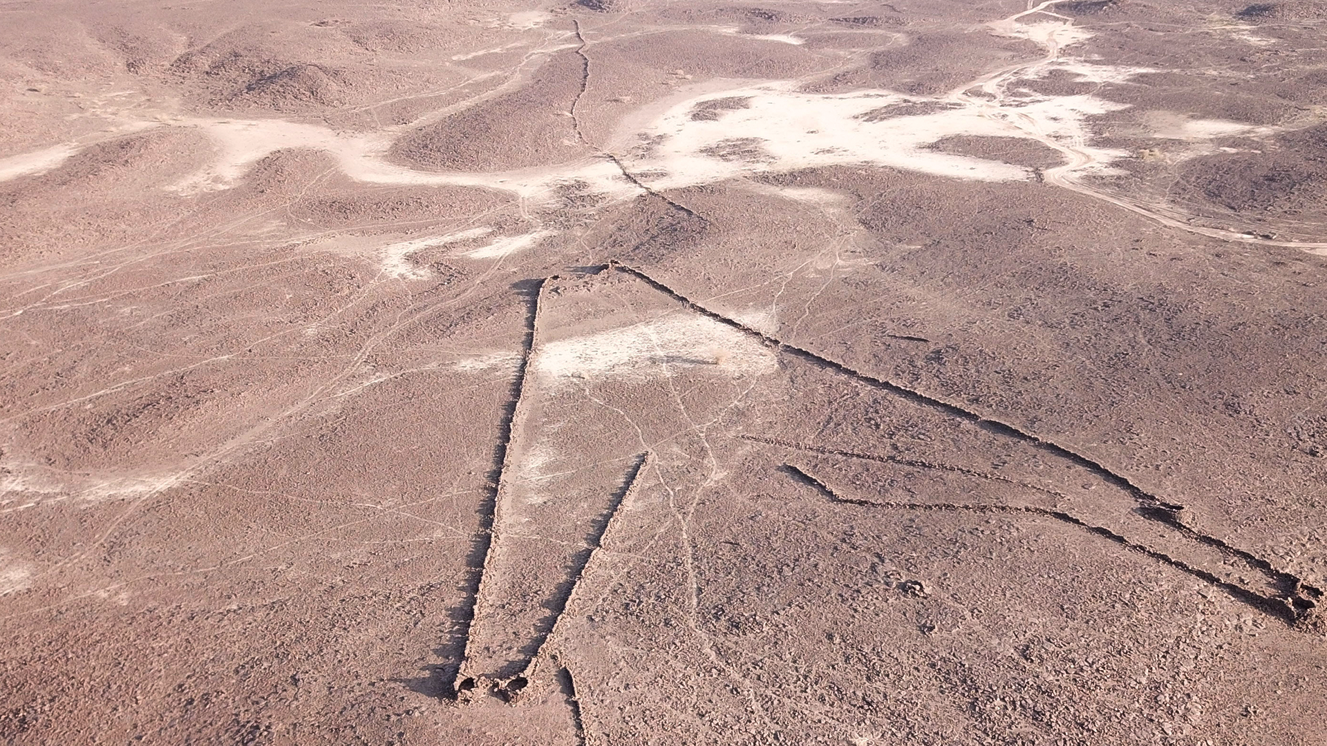 Ancient Desert Death Trap | NOVA | PBS