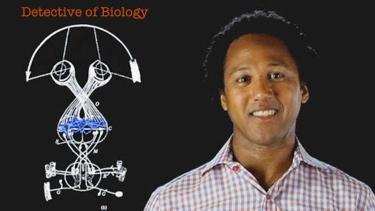Andre Fenton: Detective of Biology | NOVA | PBS