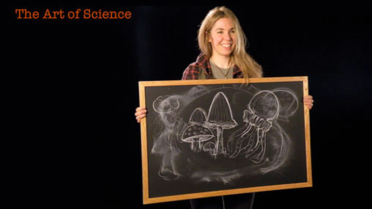 Caryn Babaian: The Art of Science | NOVA | PBS