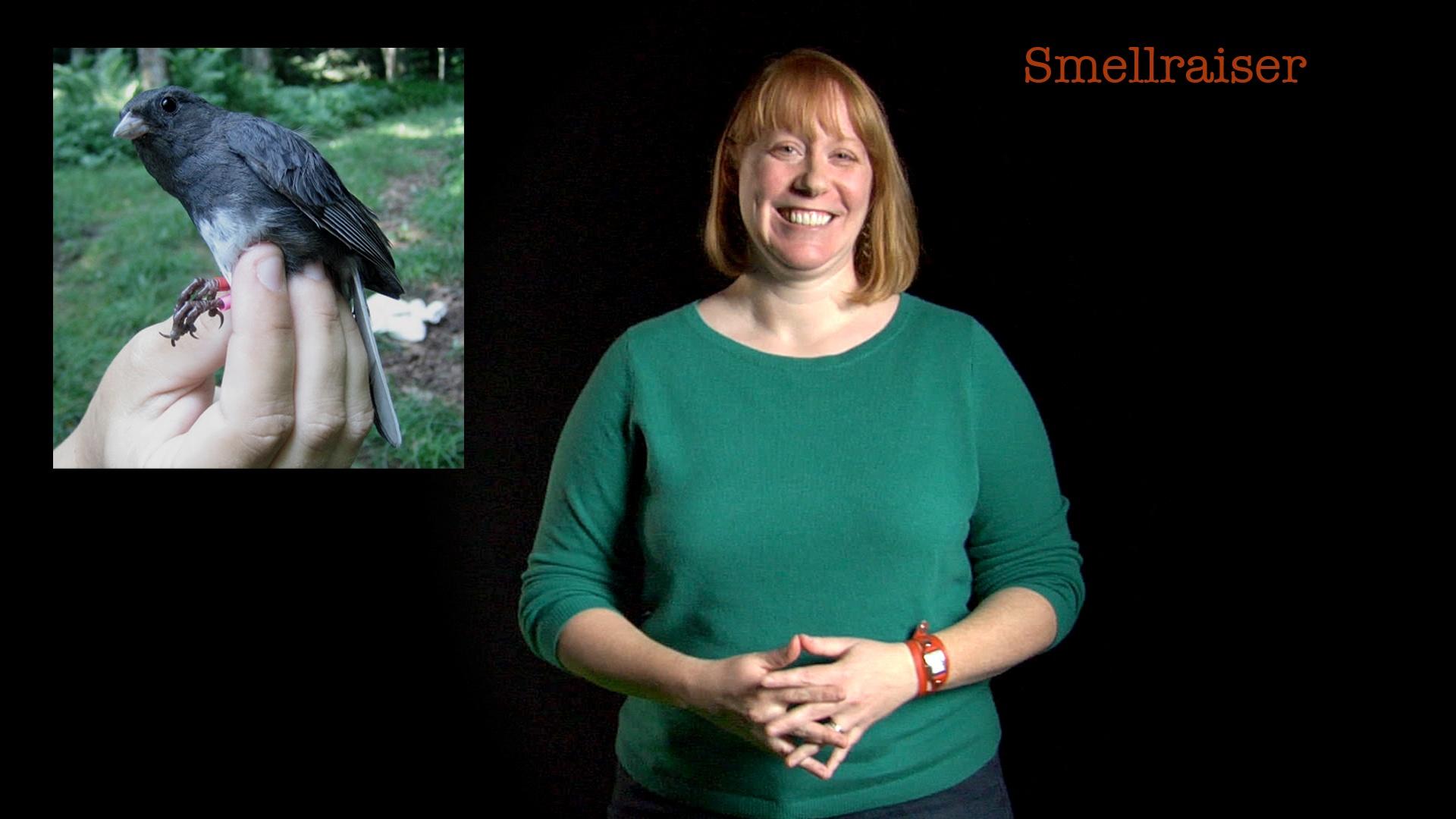 Danielle Whittaker: Smellraiser | NOVA | PBS