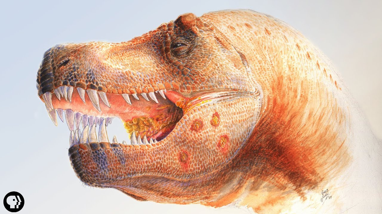 Dinosaur Parasites! | NOVA | PBS
