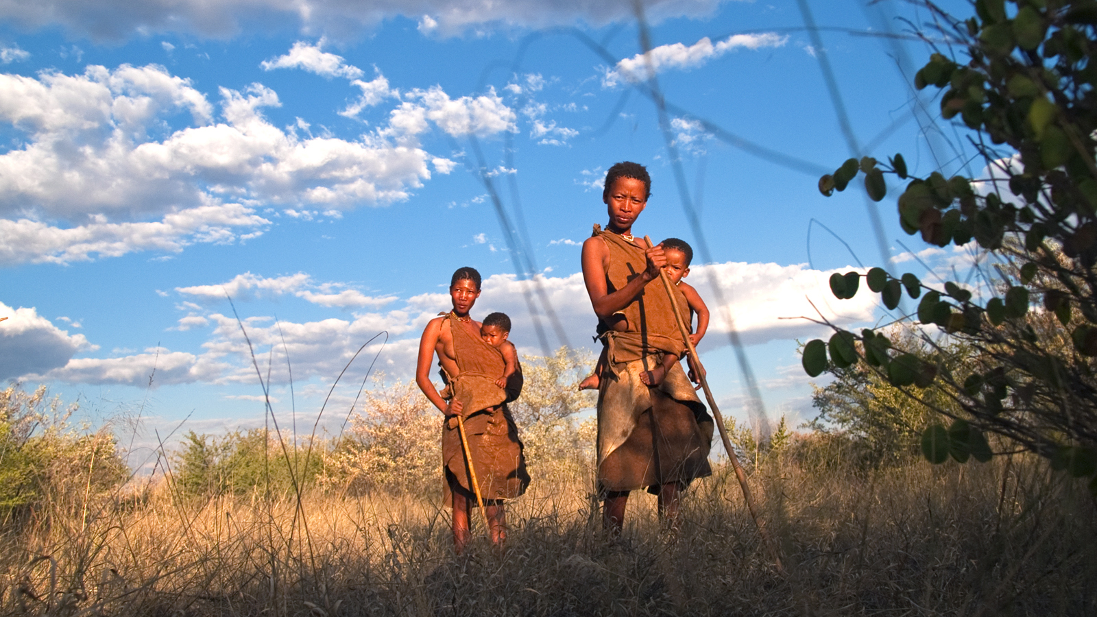 In a controversial study, DNA from today’s southern Africans hints at ...