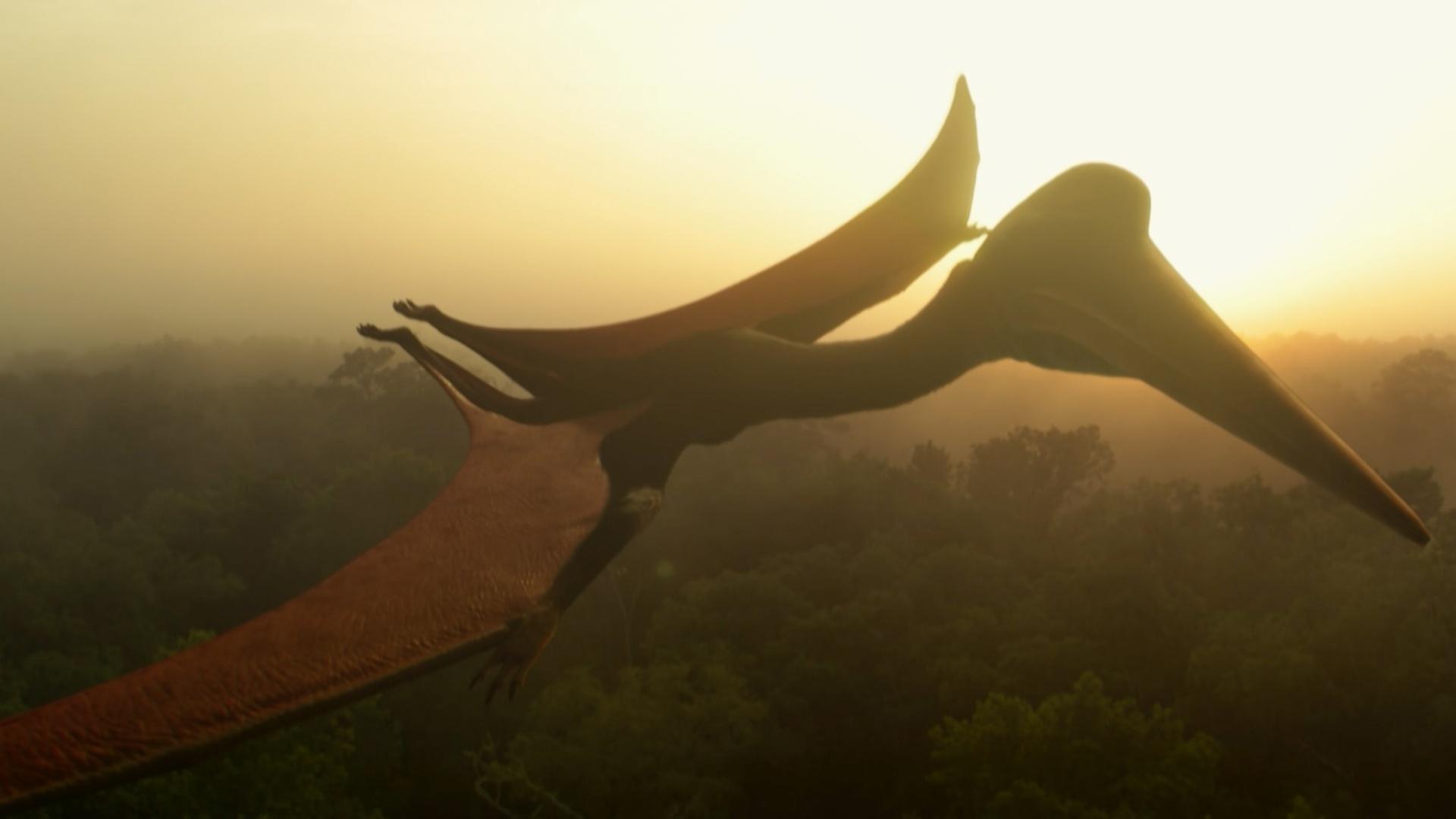 Inside a Fossilized Pterosaur Egg | NOVA | PBS