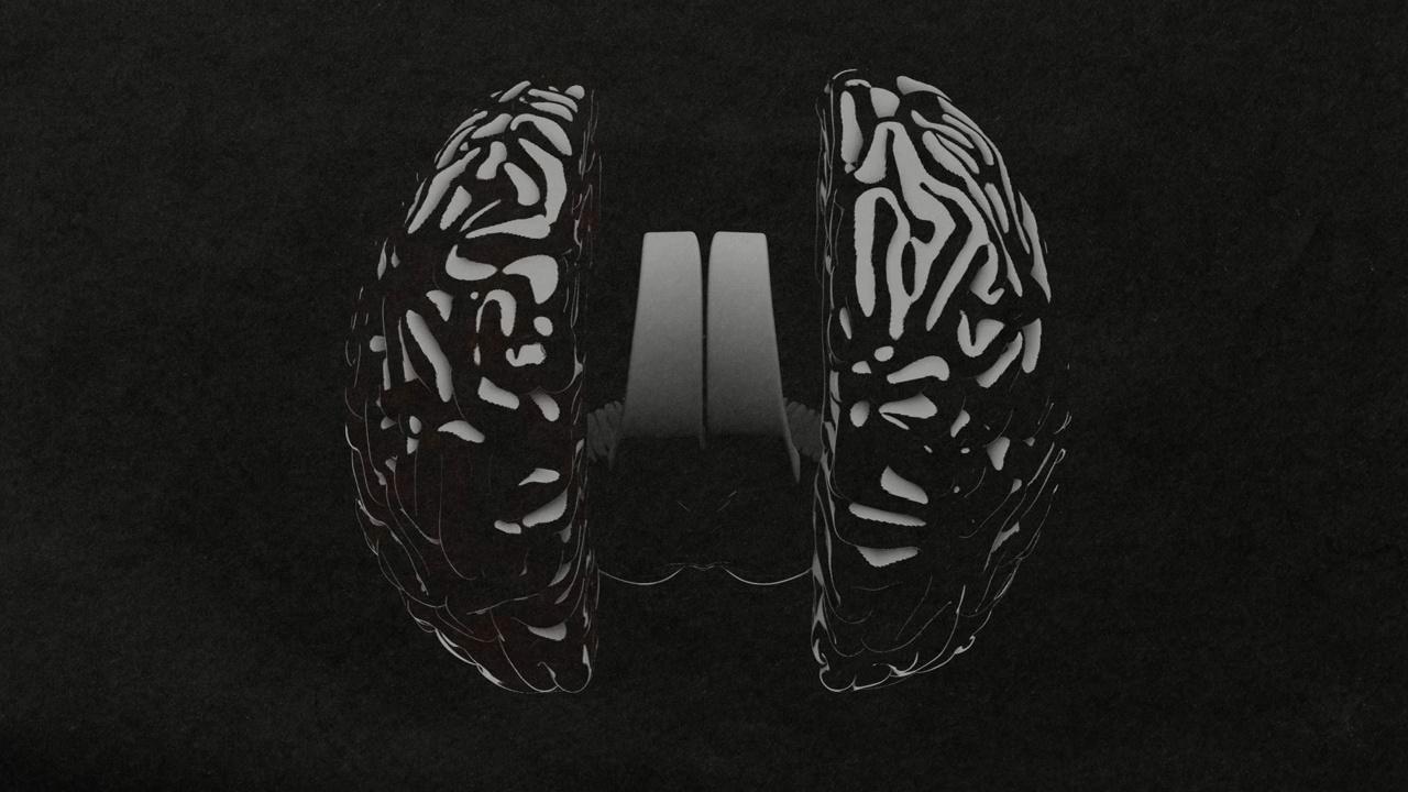 Is the Human Brain Actually Two Minds? | NOVA | PBS