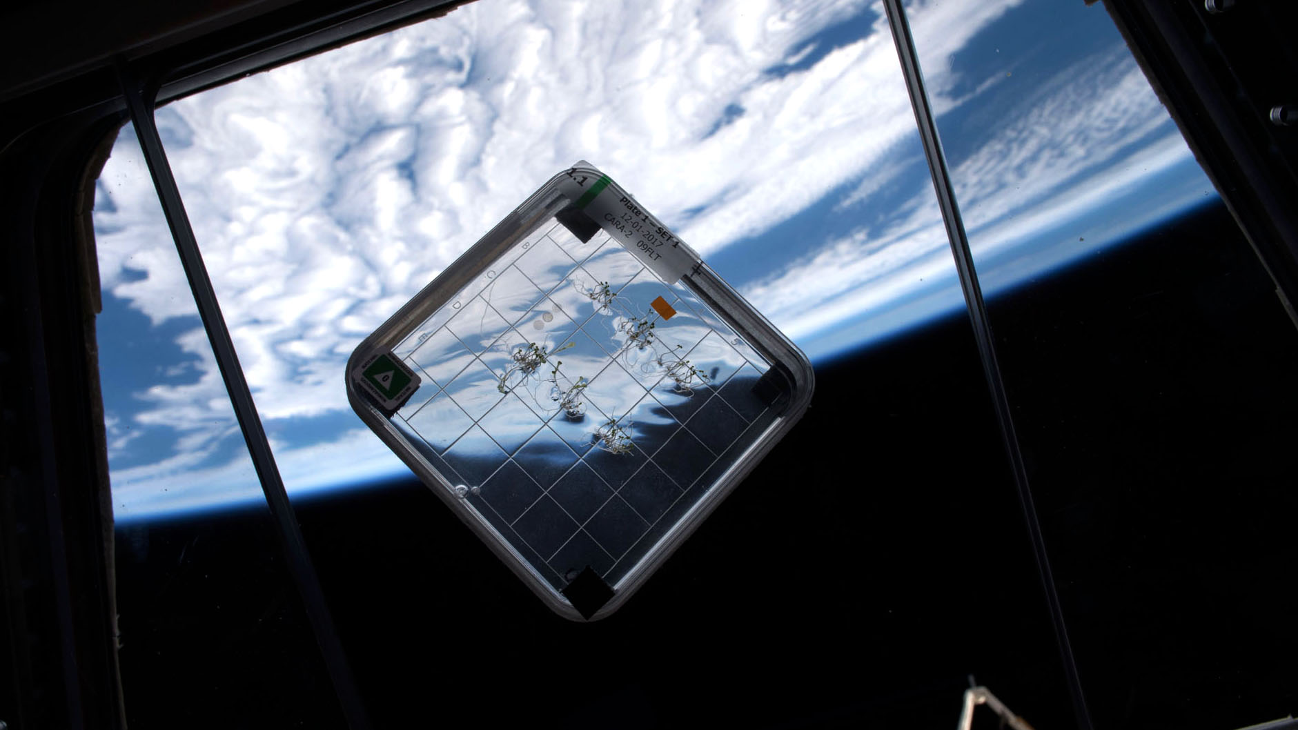 The weird and wonderful world growing spuds (and other crops) in space ...