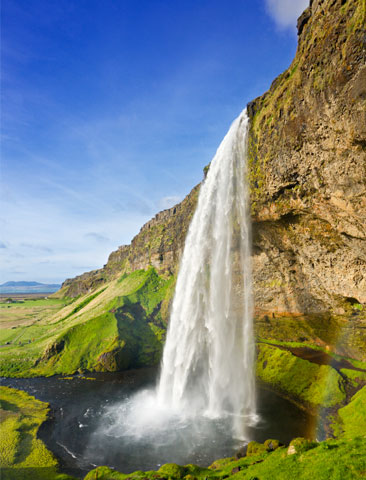 Life's Little Essential | NOVA | PBS