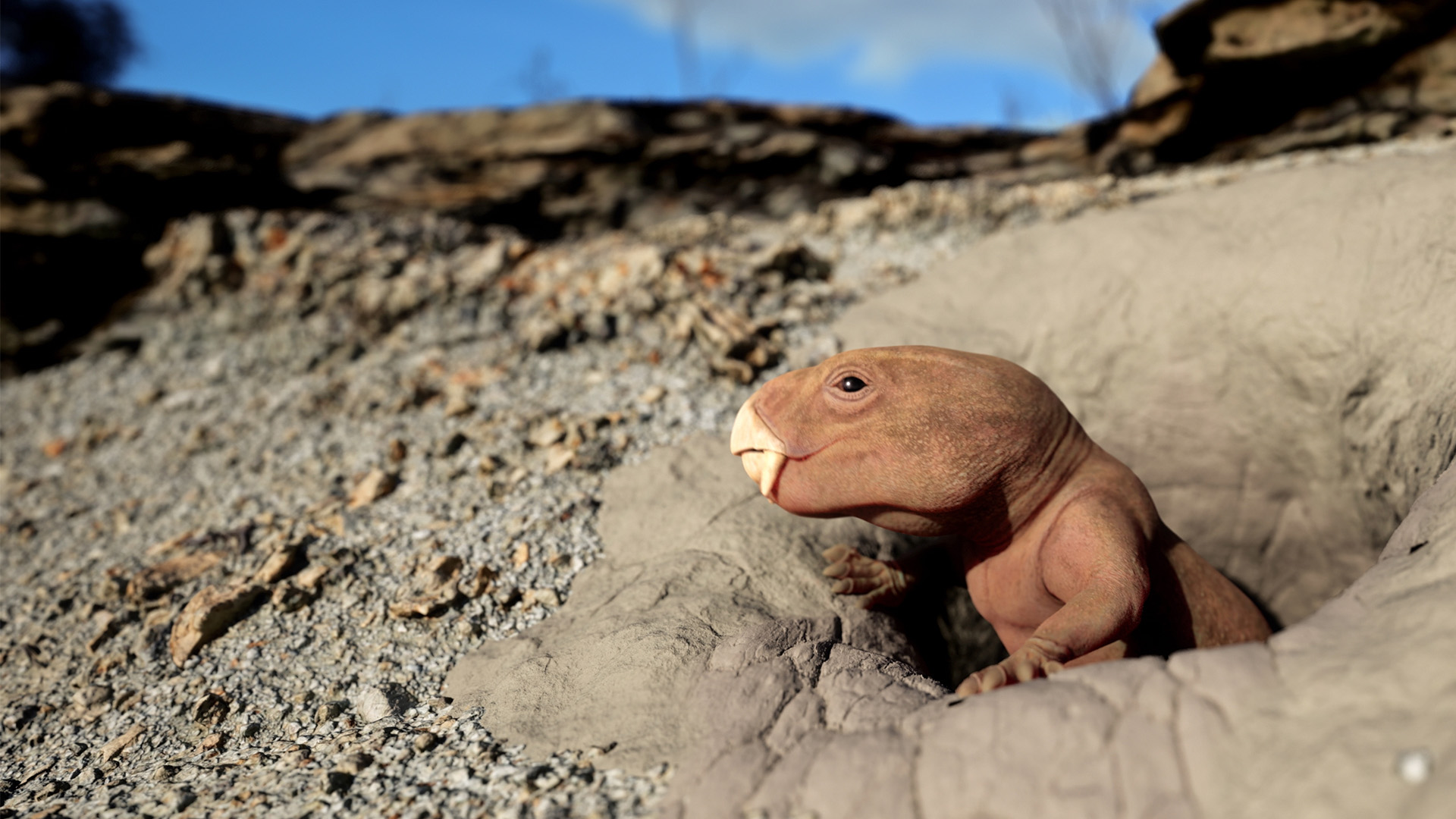 Mammal Origins | NOVA | PBS