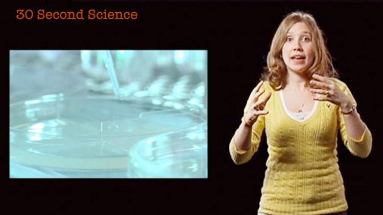 Mollie Woodworth: 30 Second Science | NOVA | PBS