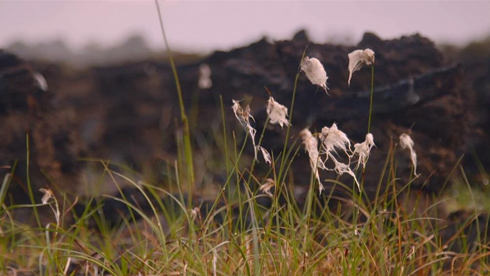 Nature's Time Capsules | NOVA | PBS