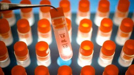 Stem Cells: Early Research | NOVA | PBS