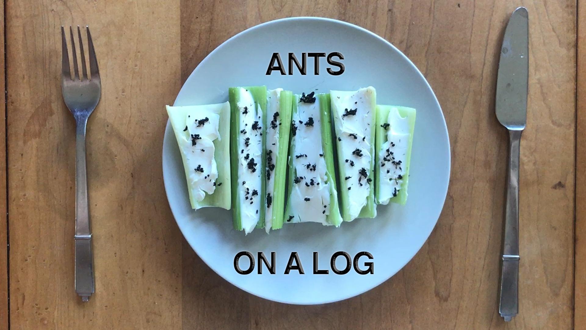 The Case for Eating Bugs | NOVA | PBS