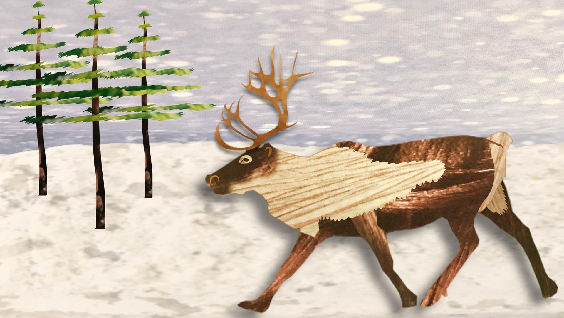 The REAL Rudolph Has Bloody Antlers and Super Vision | NOVA | PBS