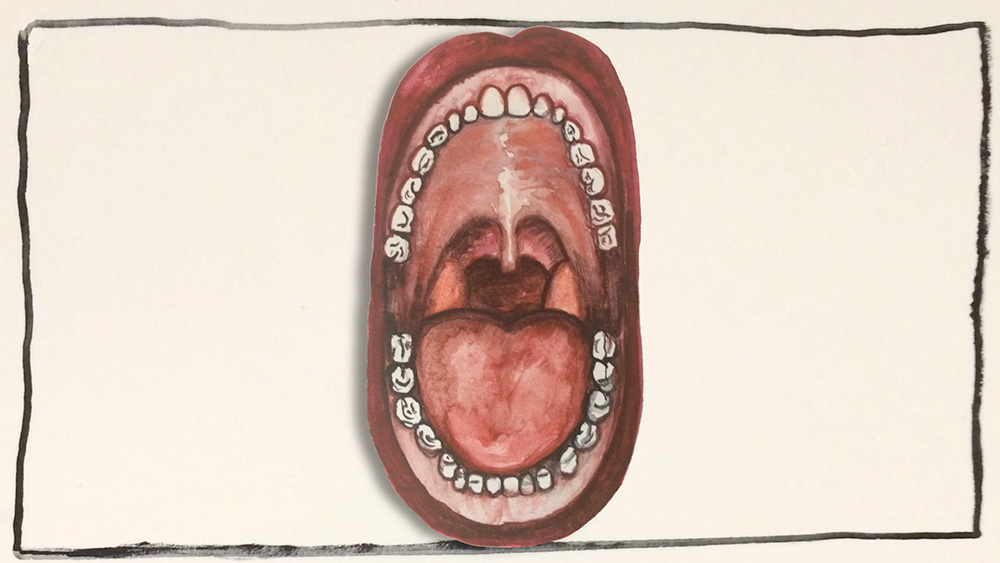 What are Tonsil Stones? | NOVA | PBS