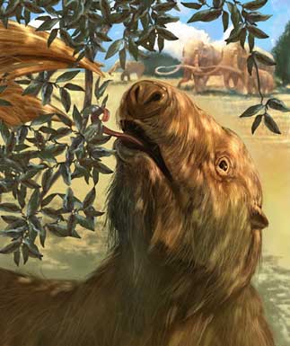 NOVA | America's Stone Age Explorers | End of the Big Beasts image 1 | PBS