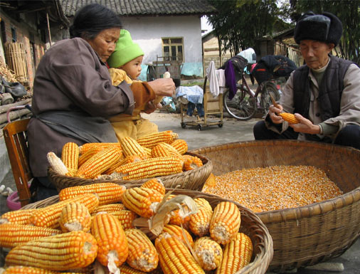 NOVA | World in the Balance | Voices of Concern image | PBS