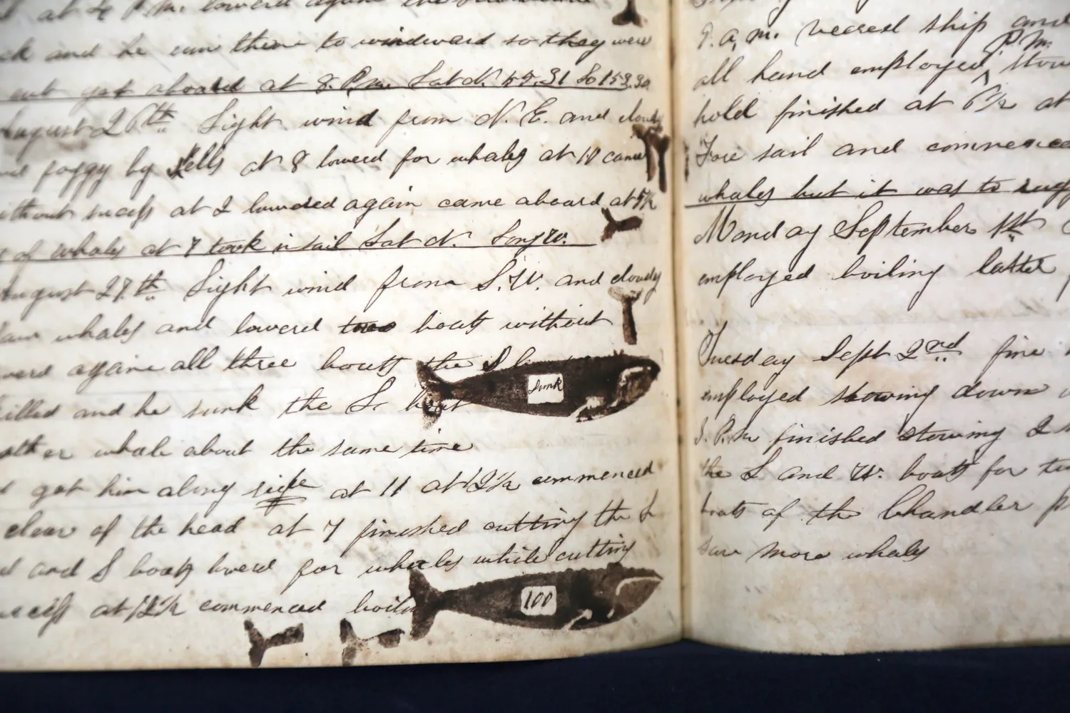 Sea Captain's Journals & Scrimshaw Tooth, ca. 1840 | Antiques Roadshow ...
