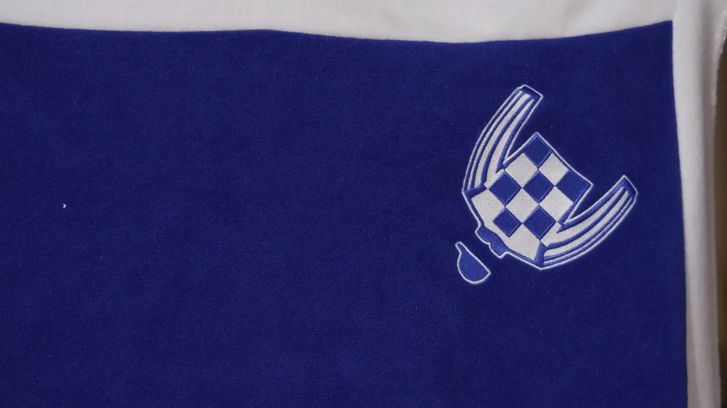 Secretariat's Cool Down Blanket, ca. 1973 | Antiques Roadshow | PBS