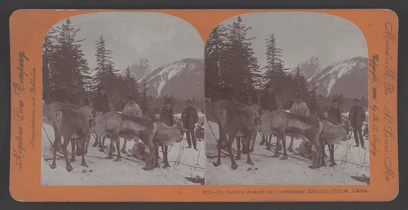 Antiques Roadshow | PBS