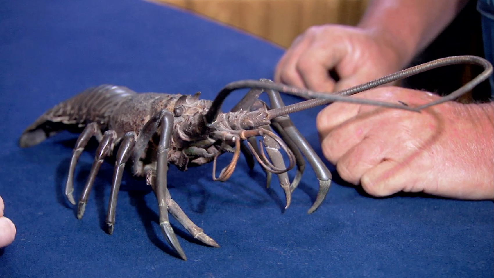 19th-Century Japanese Bronze Crayfish | Antiques Roadshow | PBS