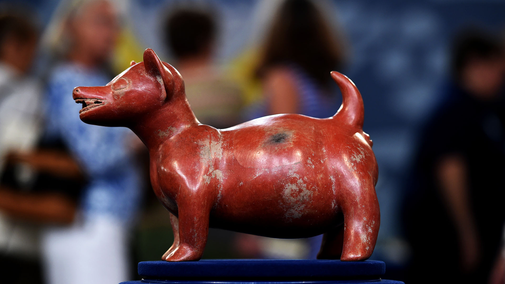 Antiques Roadshow | PBS