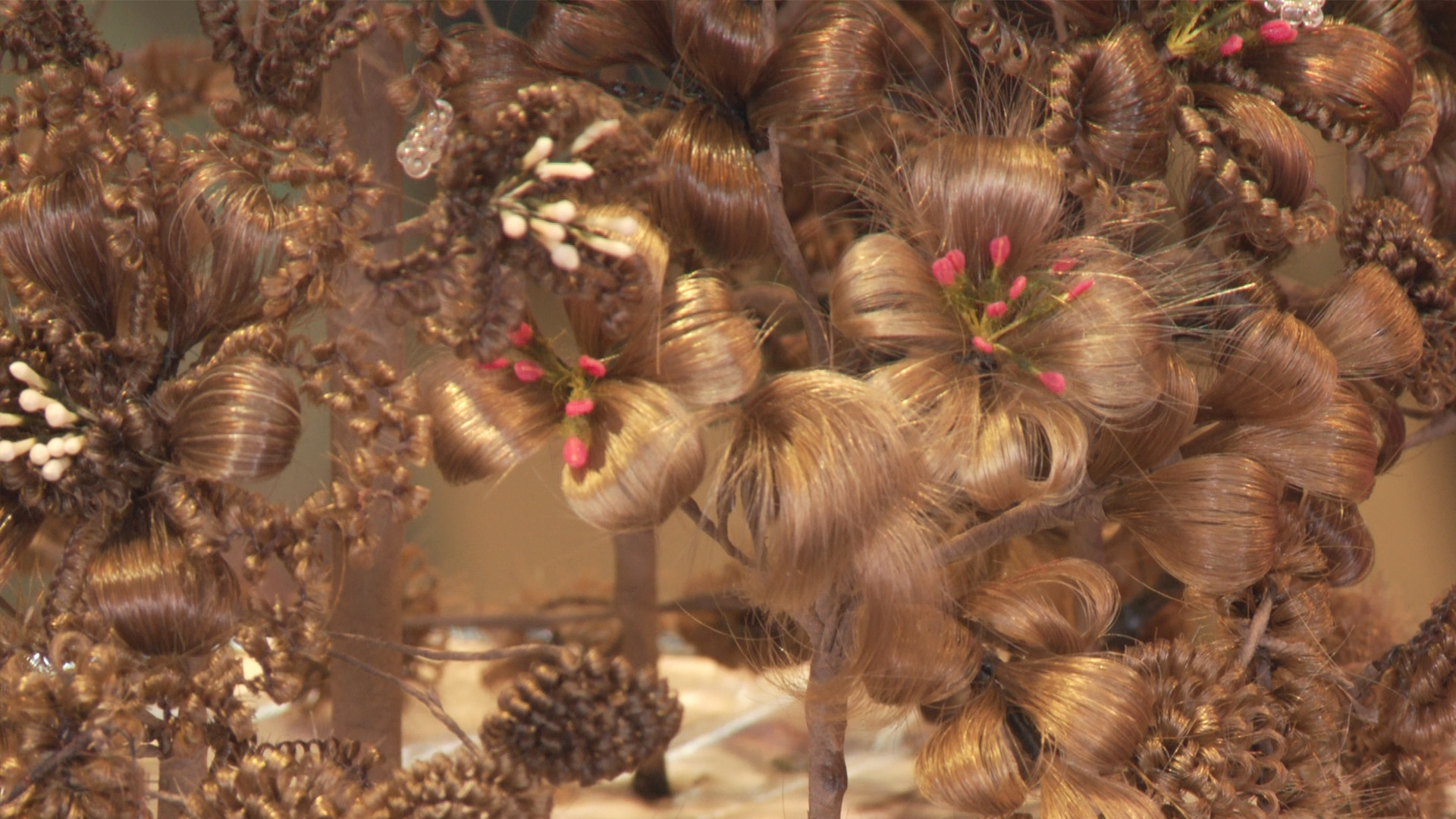 Antiques Roadshow | PBS