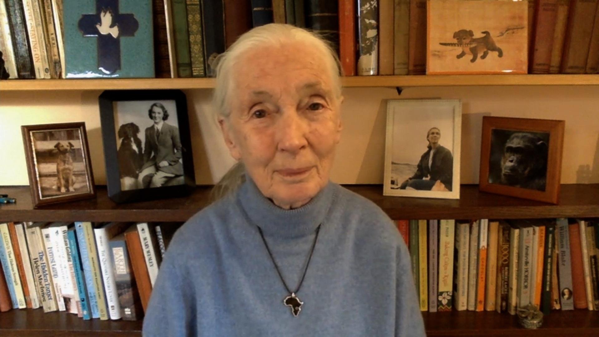 Jane Goodall Talks Environmental Degradation and Pandemics | Video ...