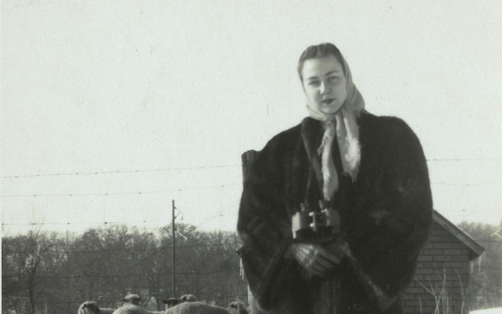 Flannery O'Connor biographical timeline | American Masters | PBS